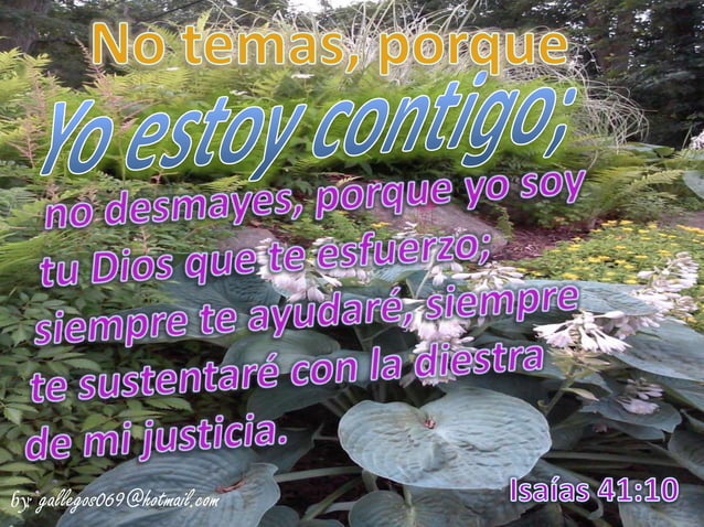 Yo estoy contigo | PPTX