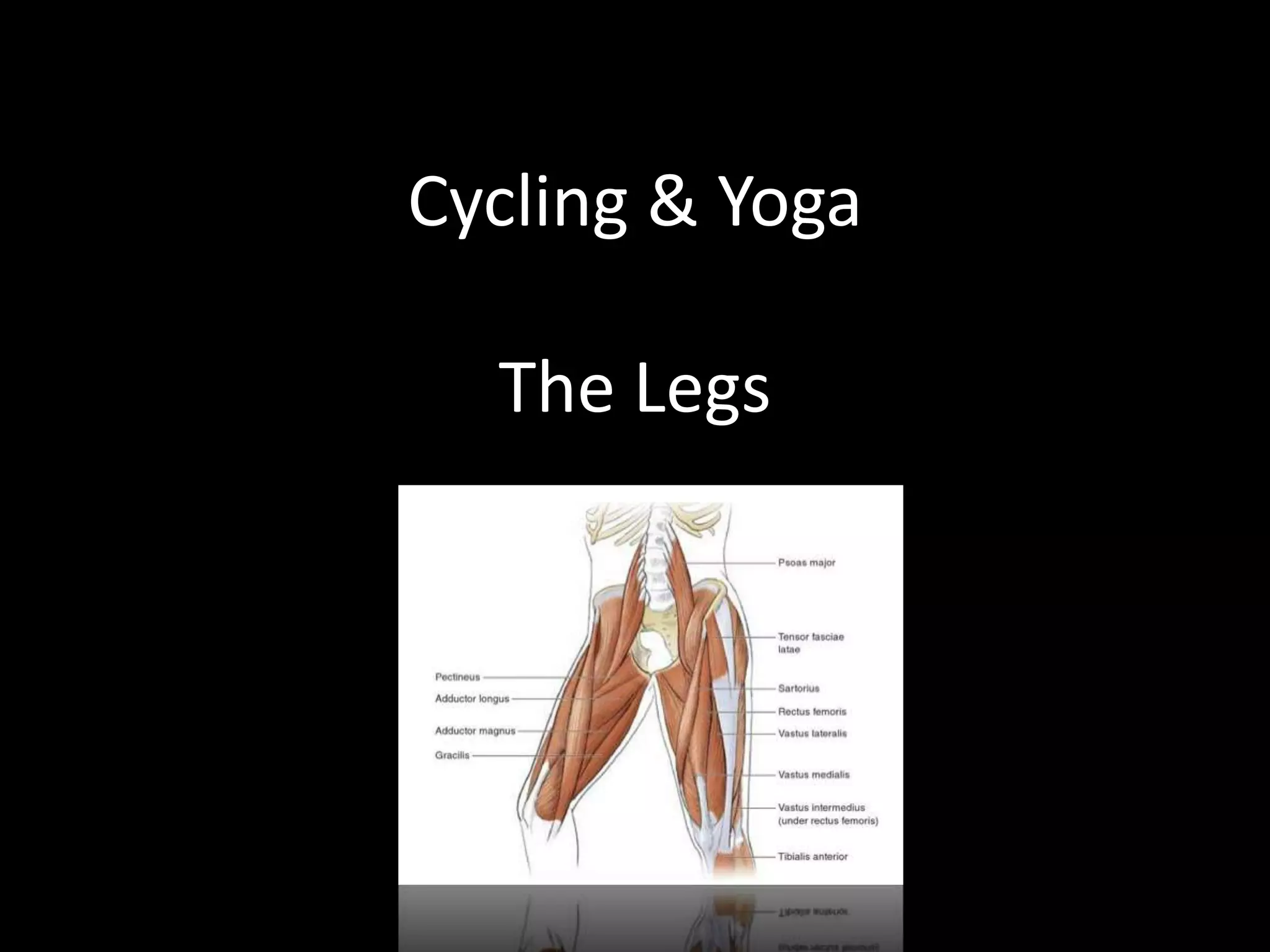 Yoga & Cycling Anatomy | PPTX