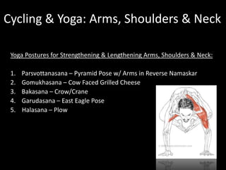 Yoga & Cycling Anatomy | PPTX
