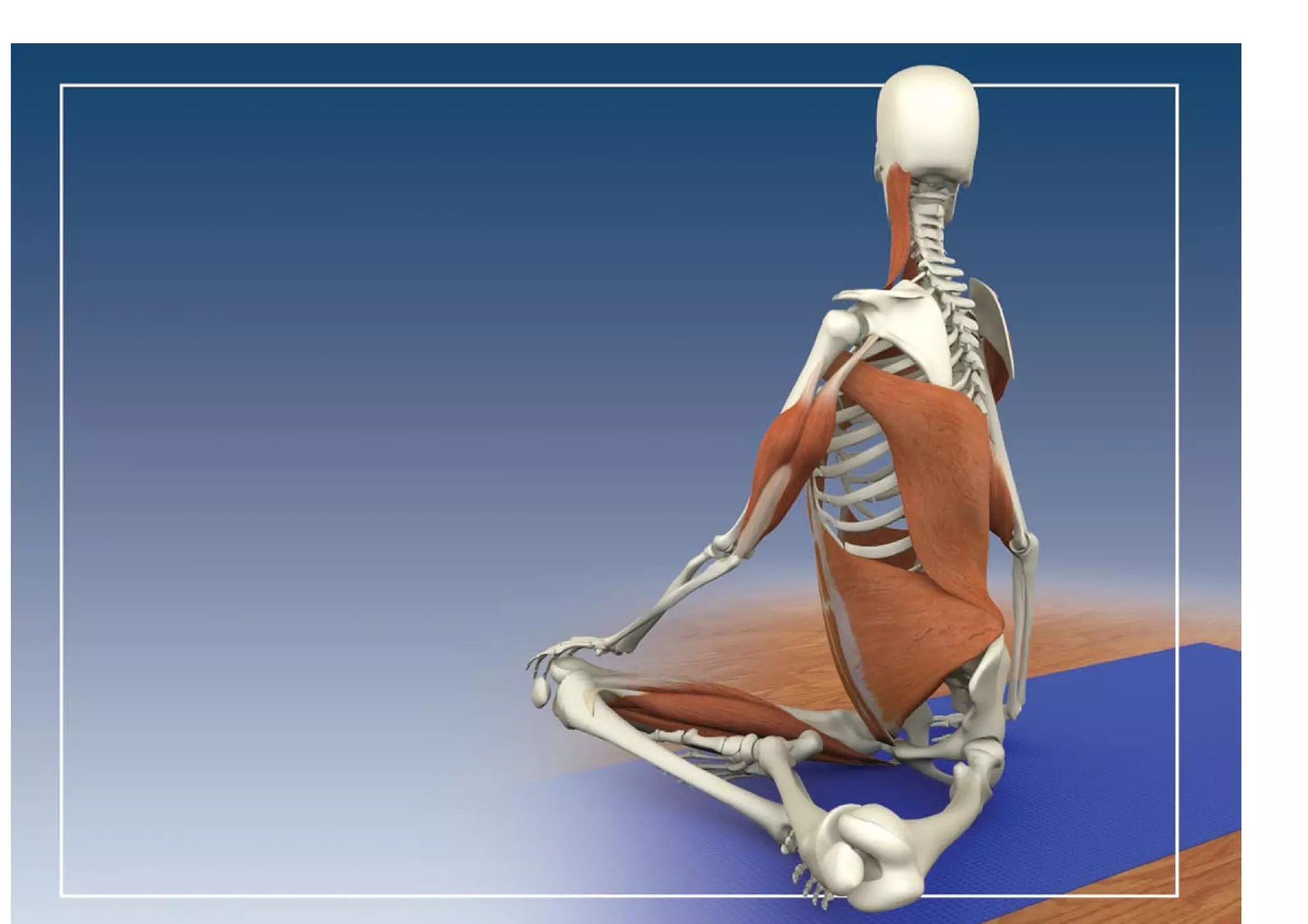 Yoga anatomy | PDF
