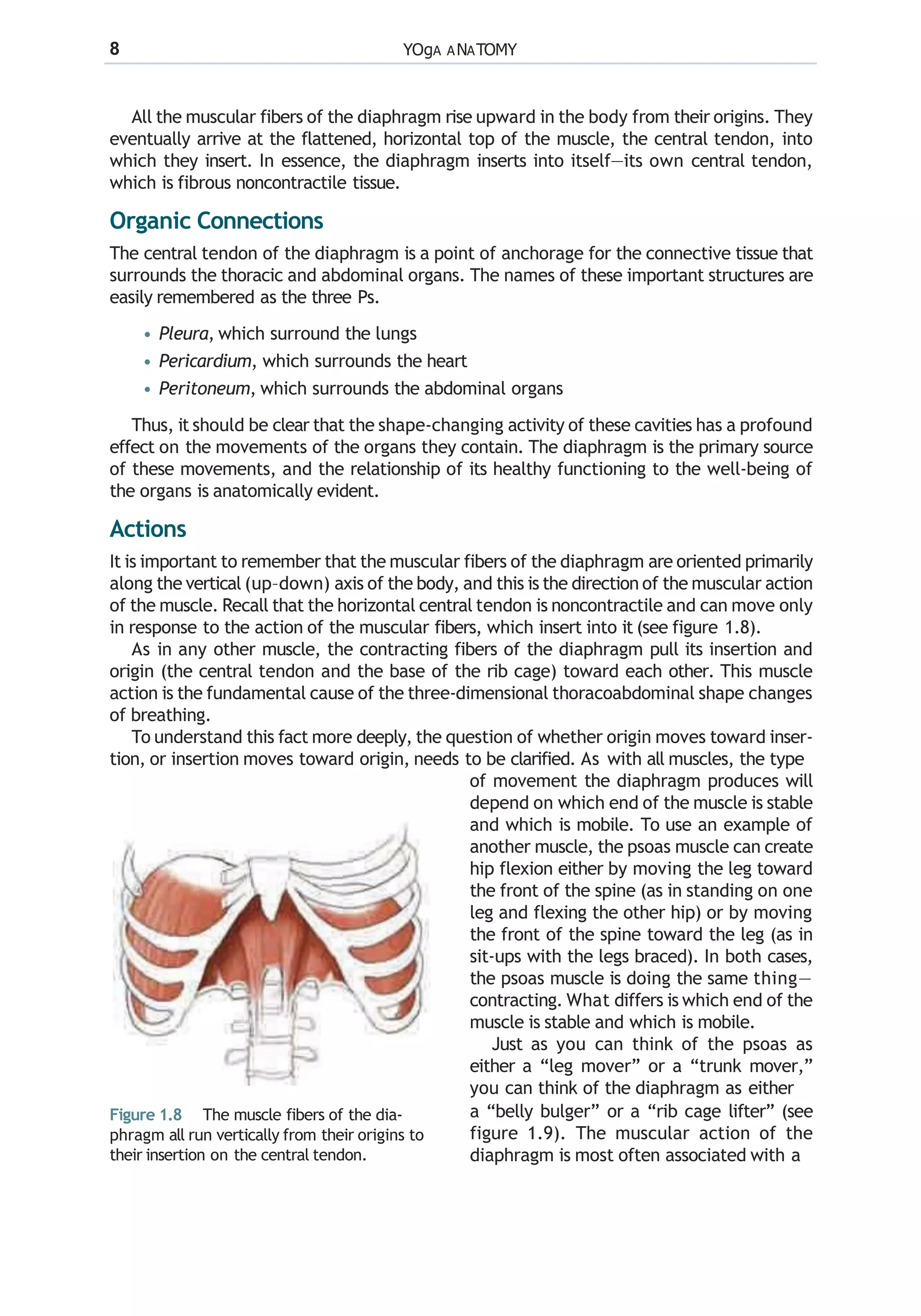 Yoga anatomy for poses | PPTX