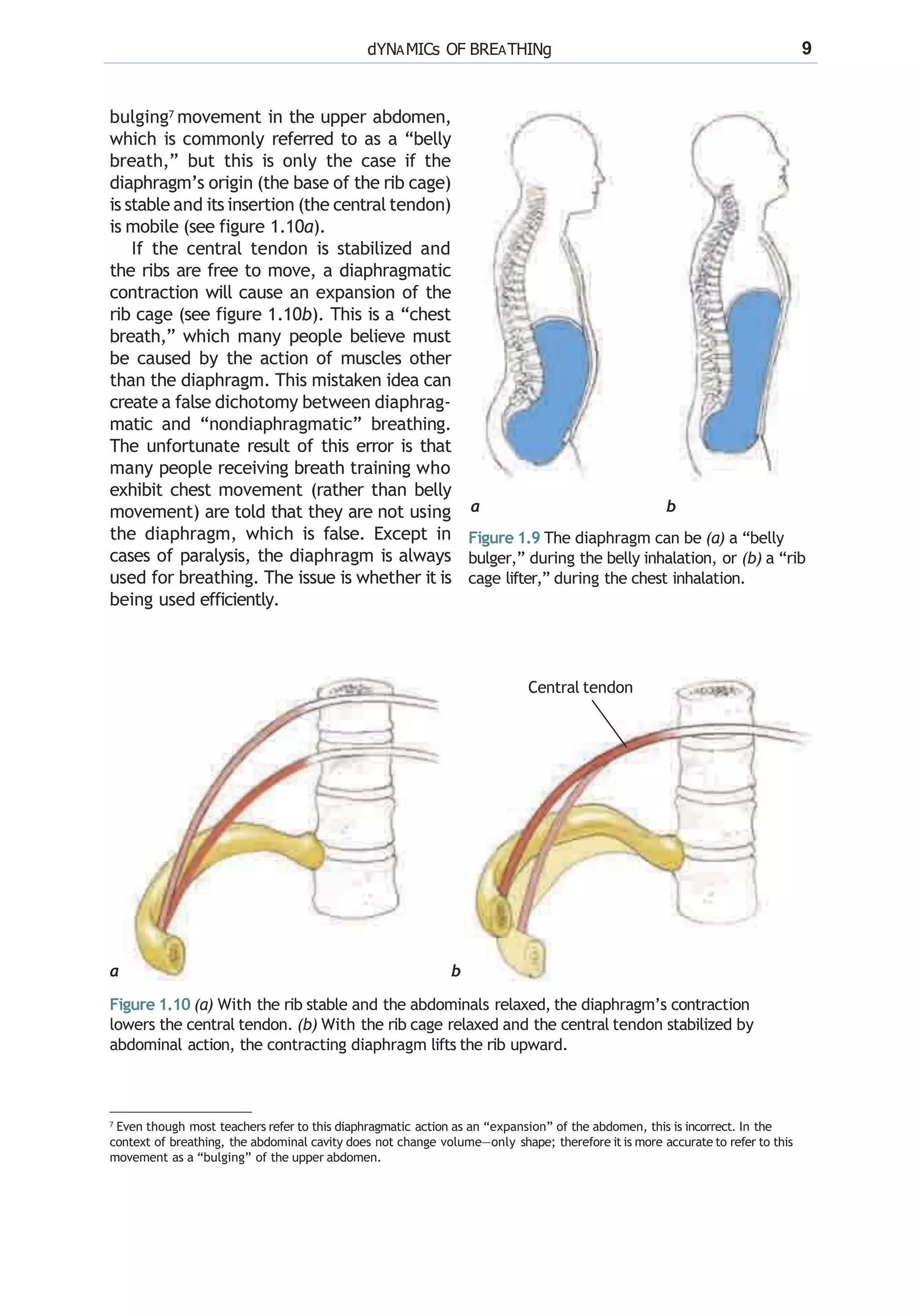 Yoga anatomy for poses | PPTX