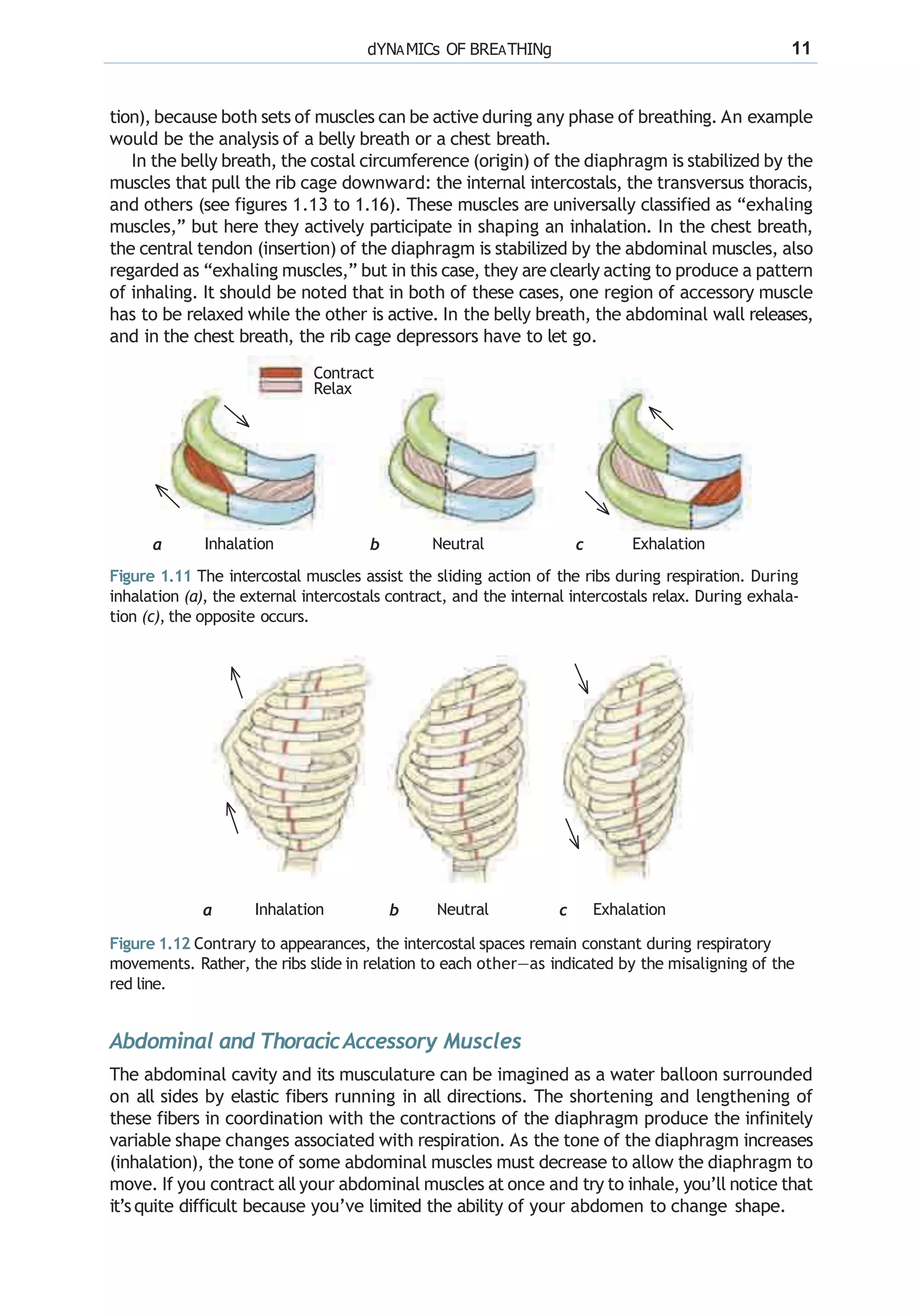 Yoga anatomy for poses | PPTX
