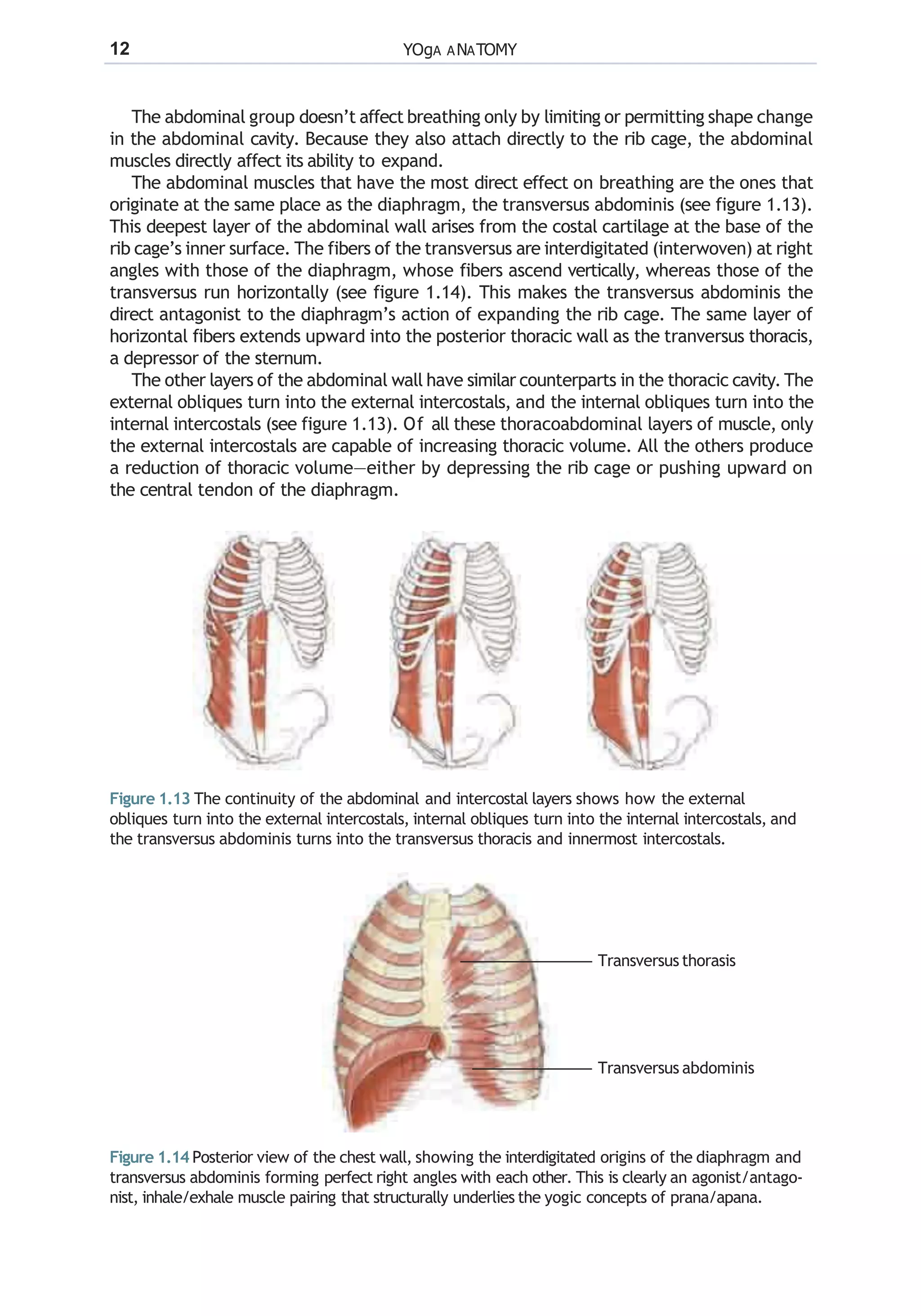 Yoga anatomy for poses | PPTX