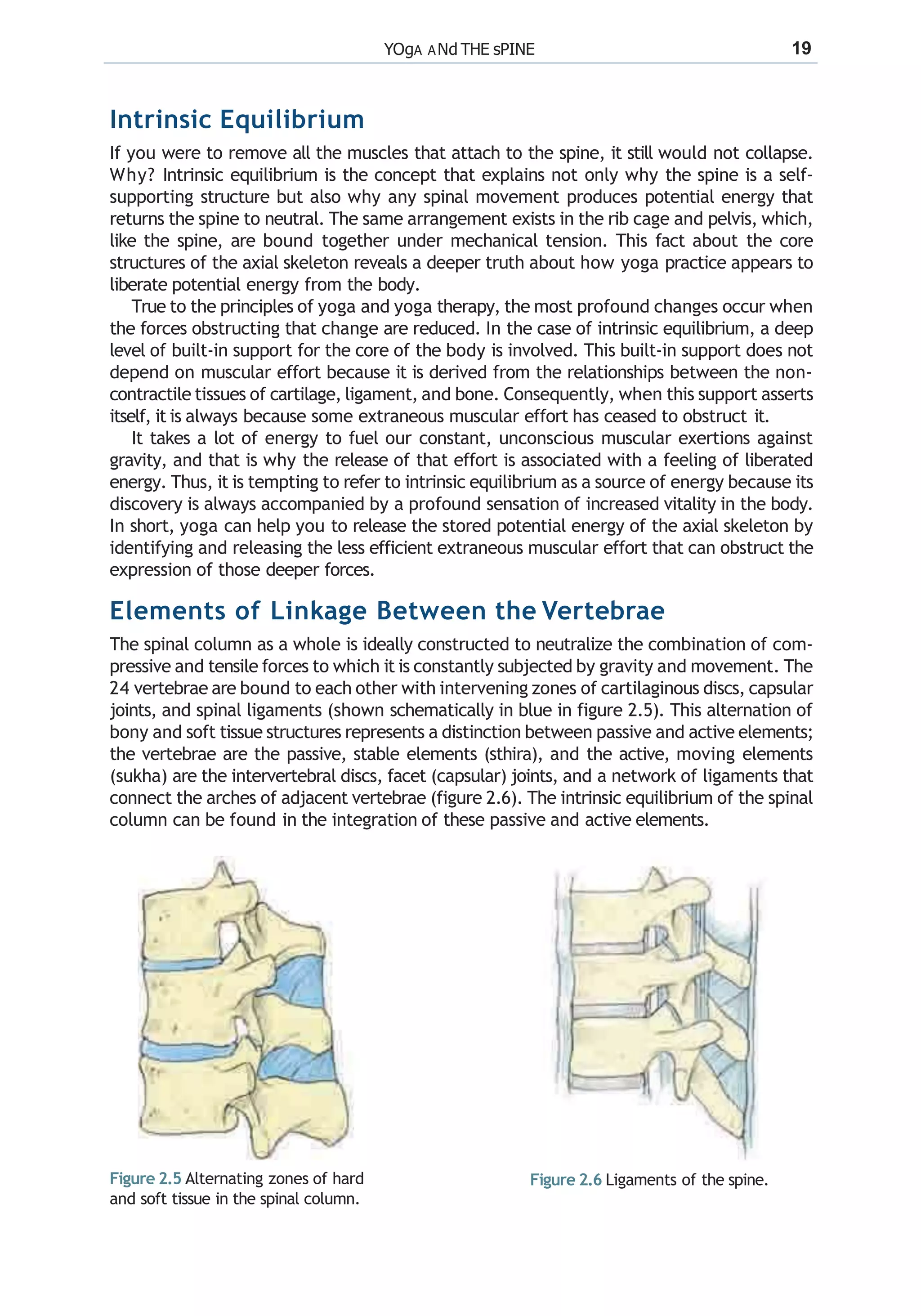Yoga anatomy for poses | PPTX