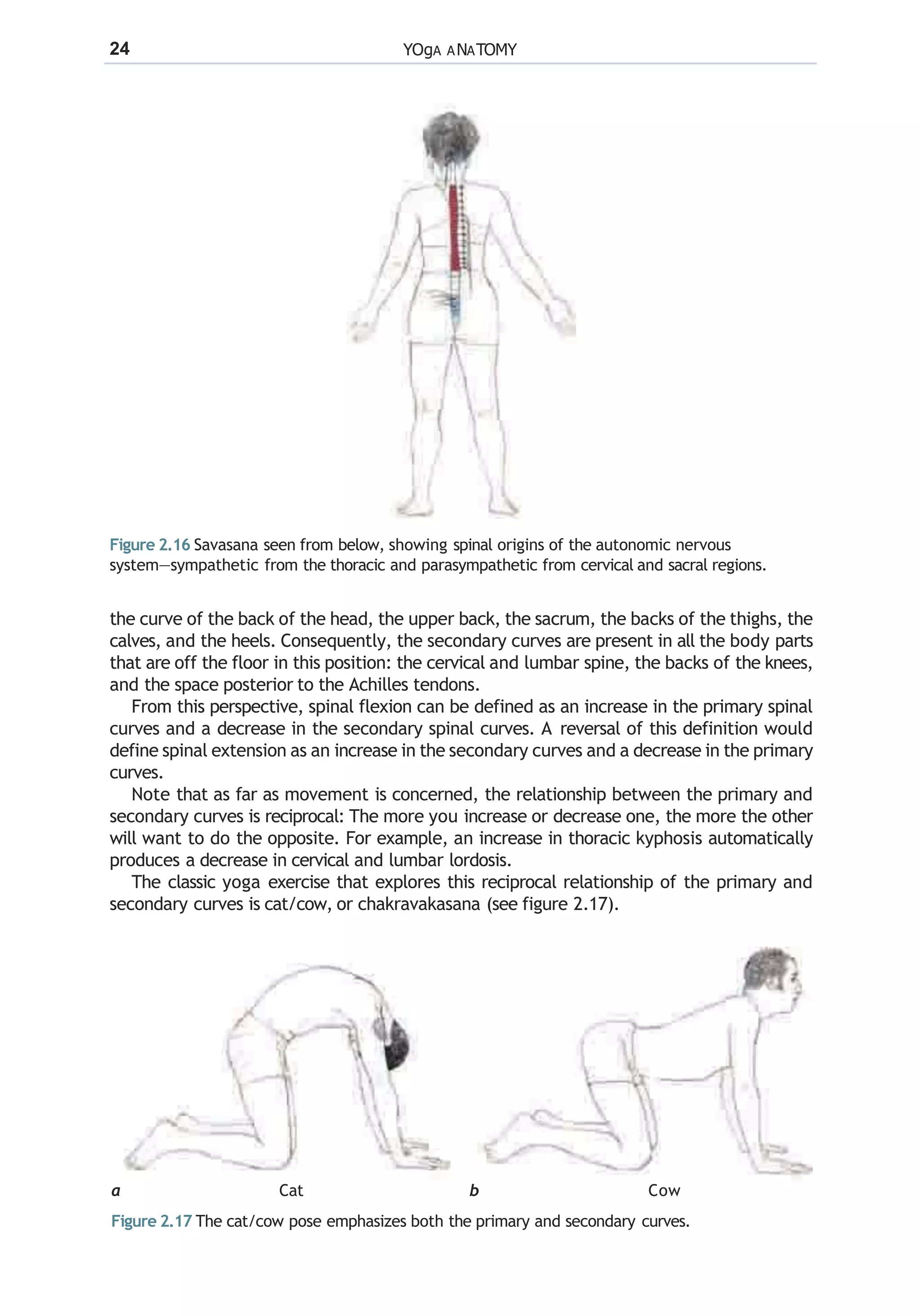 Yoga anatomy for poses | PPTX