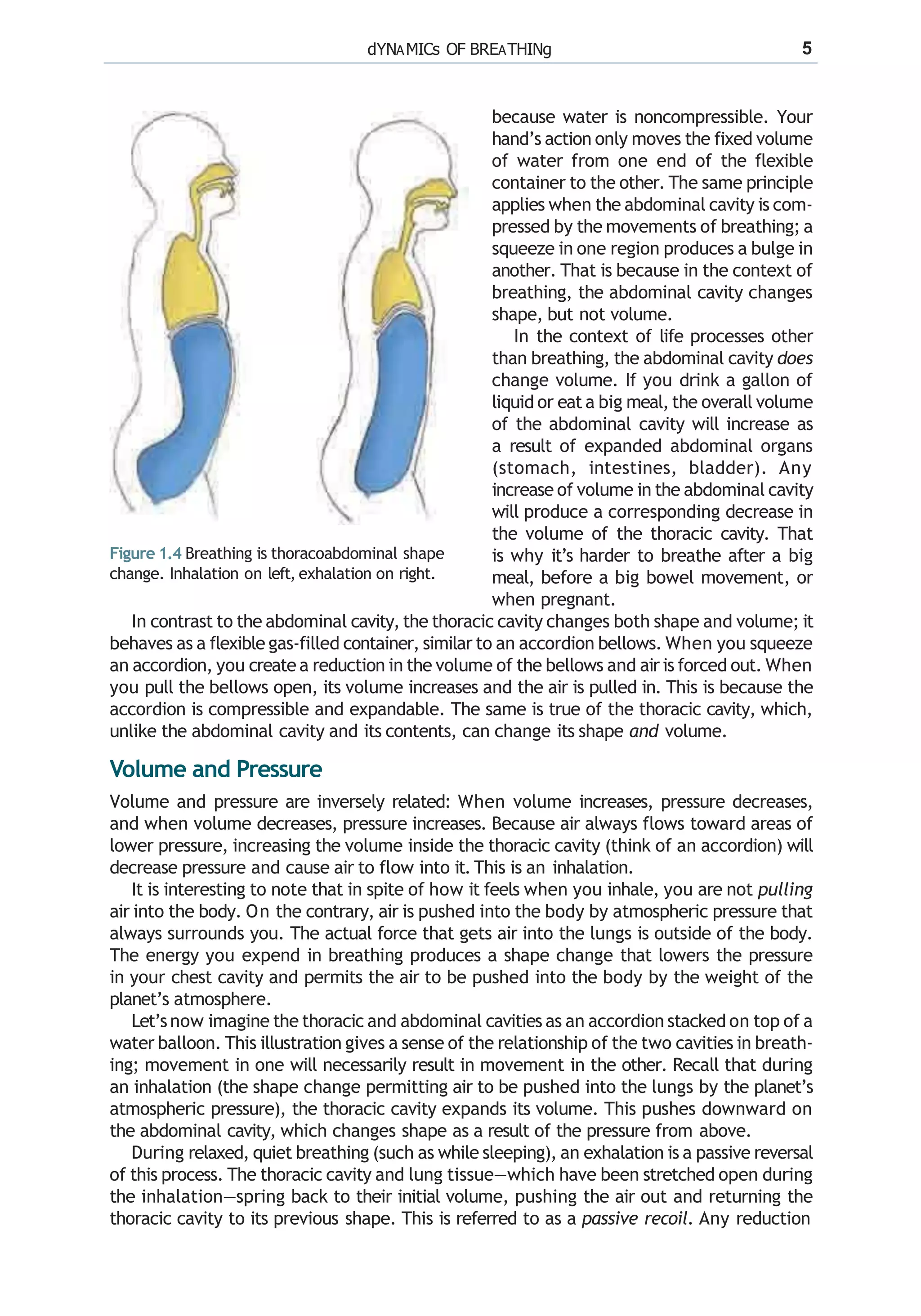 Yoga anatomy for poses | PPTX