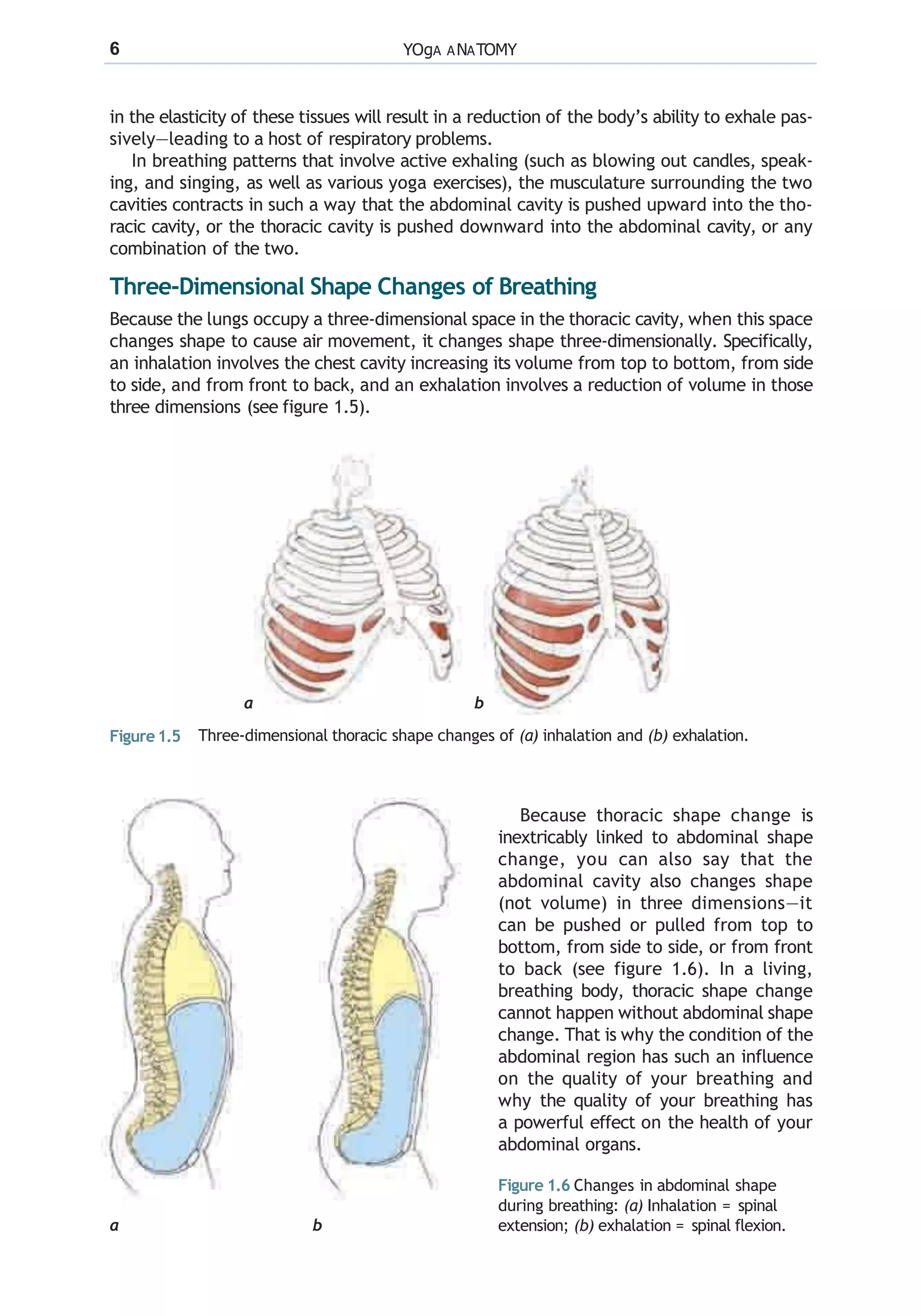 Yoga anatomy for poses | PPTX