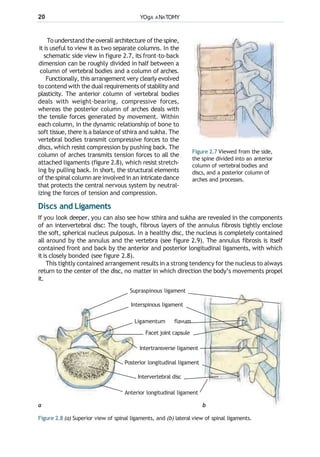 Yoga anatomy for poses | PPTX