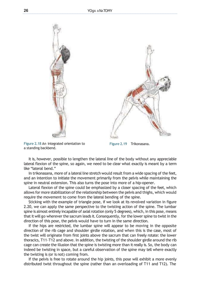 Yoga anatomy for poses | PPTX