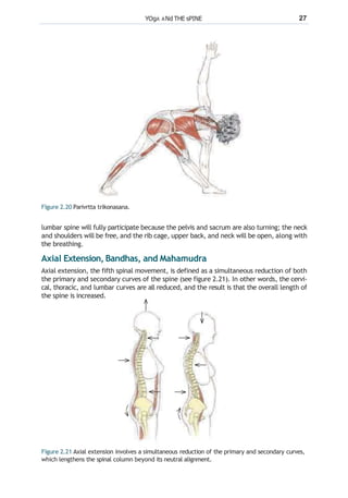 Yoga anatomy for poses | PPTX