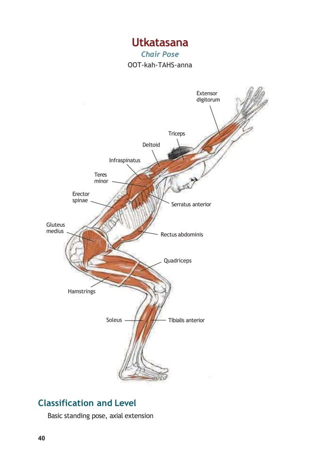 Yoga anatomy for poses | PPTX