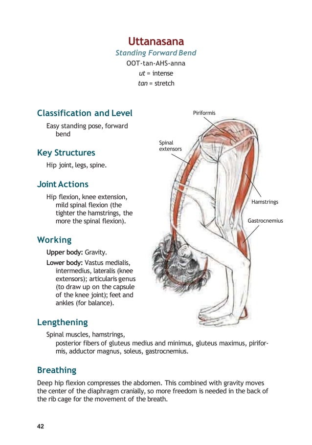 Yoga anatomy for poses | PPTX