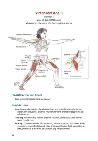 Yoga anatomy for poses | PPTX