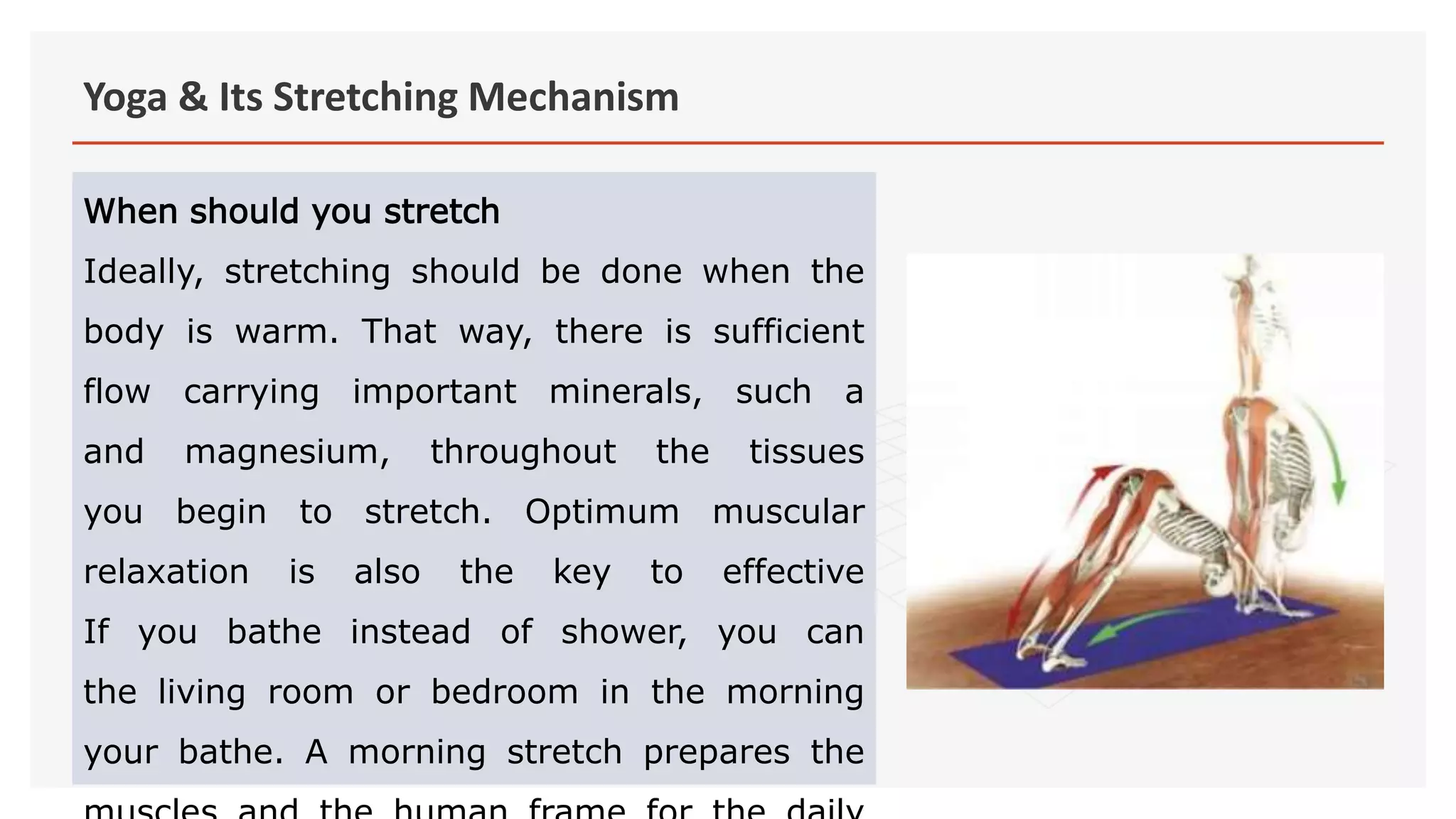 Yoga _ Its Stretching Mechanism.pptx