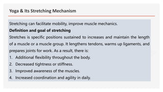 Yoga _ Its Stretching Mechanism.pptx