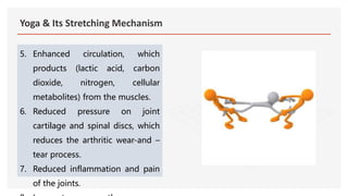 Yoga _ Its Stretching Mechanism.pptx