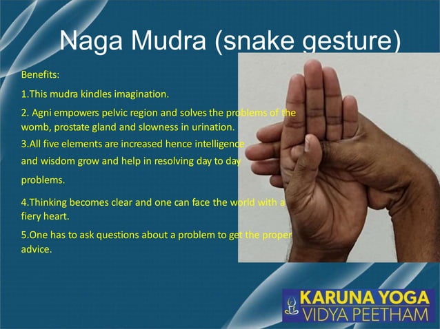 yoga mudras - gesture - seal - mudra therapy - for health disorder.pptx
