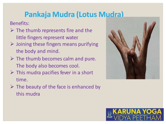 yoga mudras - gesture - seal - mudra therapy - for health disorder.pptx
