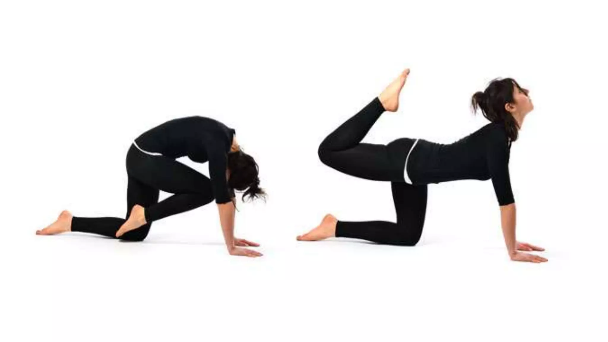 Yoga poses for stability | PPTX