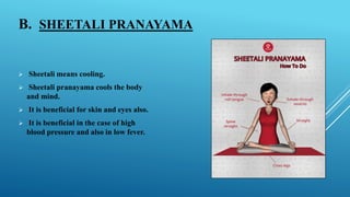 YOGA PRESENTATION.pptx