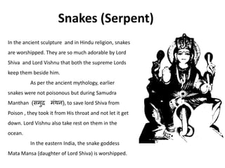 Yoga & spiritualism | PPTX