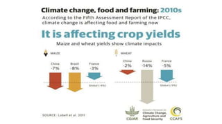 Climate Change & Its Relationship with Agriculture by Yogendra Katuwal | PPTX