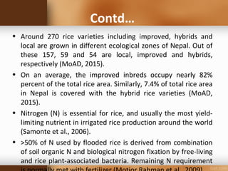 Yogendra Katuwal on Influence of N levels on Yield of Improved and Hybrid Rice Varieties | PPT