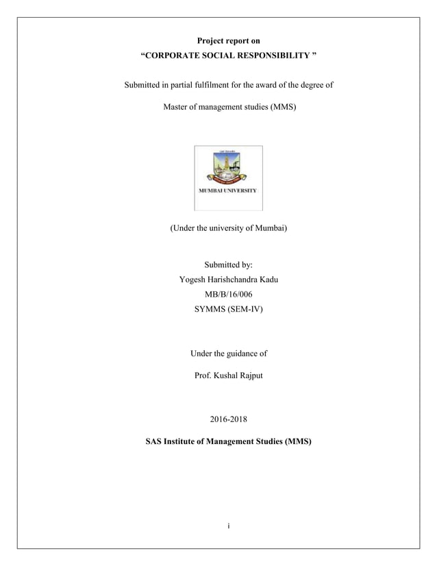 MBA CSR project | PDF