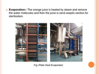PROCESSING OF ORANGE JUICE | PPTX