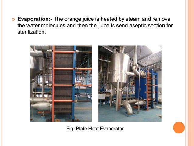 PROCESSING OF ORANGE JUICE | PPTX | Home Appliances | Home & Garden