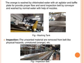 PROCESSING OF ORANGE JUICE | PPTX