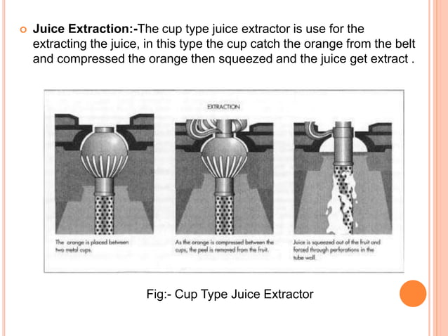 PROCESSING OF ORANGE JUICE | PPTX | Home Appliances | Home & Garden
