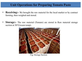 PREPARATION OF TOMATO PASTE | PPTX