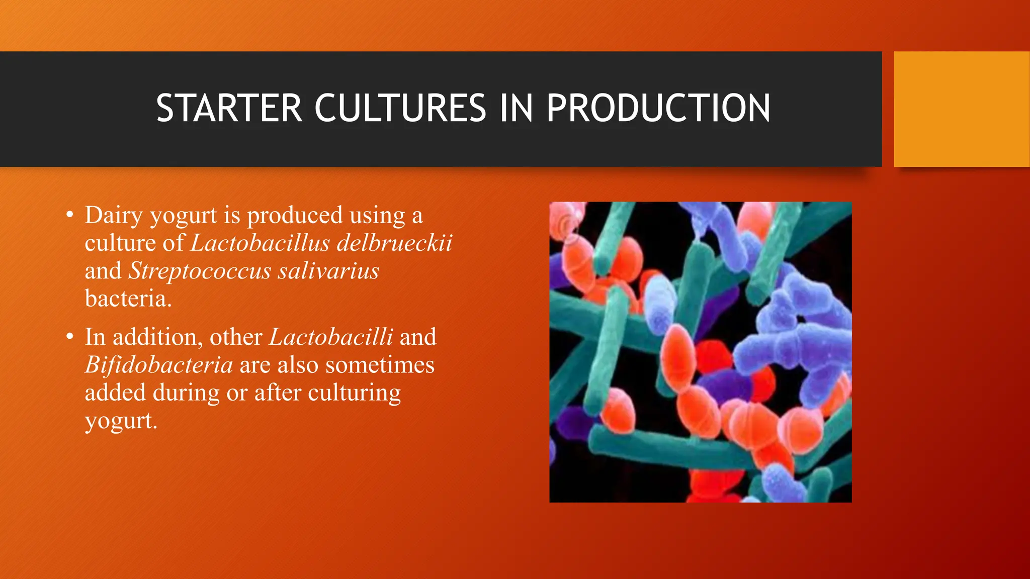 yogurt as a milk product fermented by two bacterial strains: a lactic ...