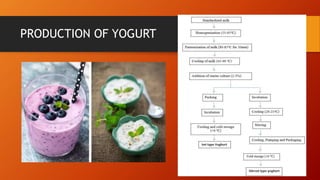 yogurt as a milk product fermented by two bacterial strains: a lactic ...