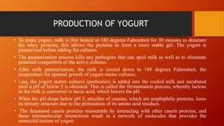 yogurt as a milk product fermented by two bacterial strains: a lactic ...