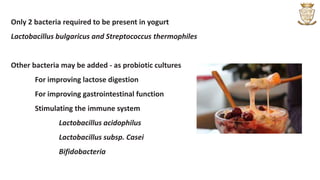 Yoghurt fermentation | PPTX | Food & Drink