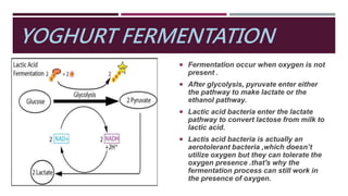 Yoghurt and; kefir Production | PPTX