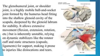 YOGIC ANATOMY OF HUMERUS BONE (Upper and lower end).pptx