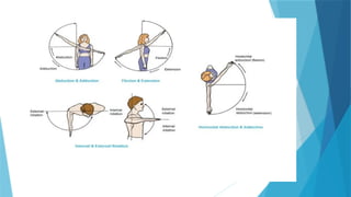 YOGIC ANATOMY OF HUMERUS BONE (Upper and lower end).pptx