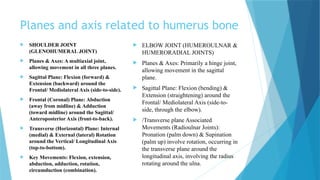 YOGIC ANATOMY OF HUMERUS BONE (Upper and lower end).pptx