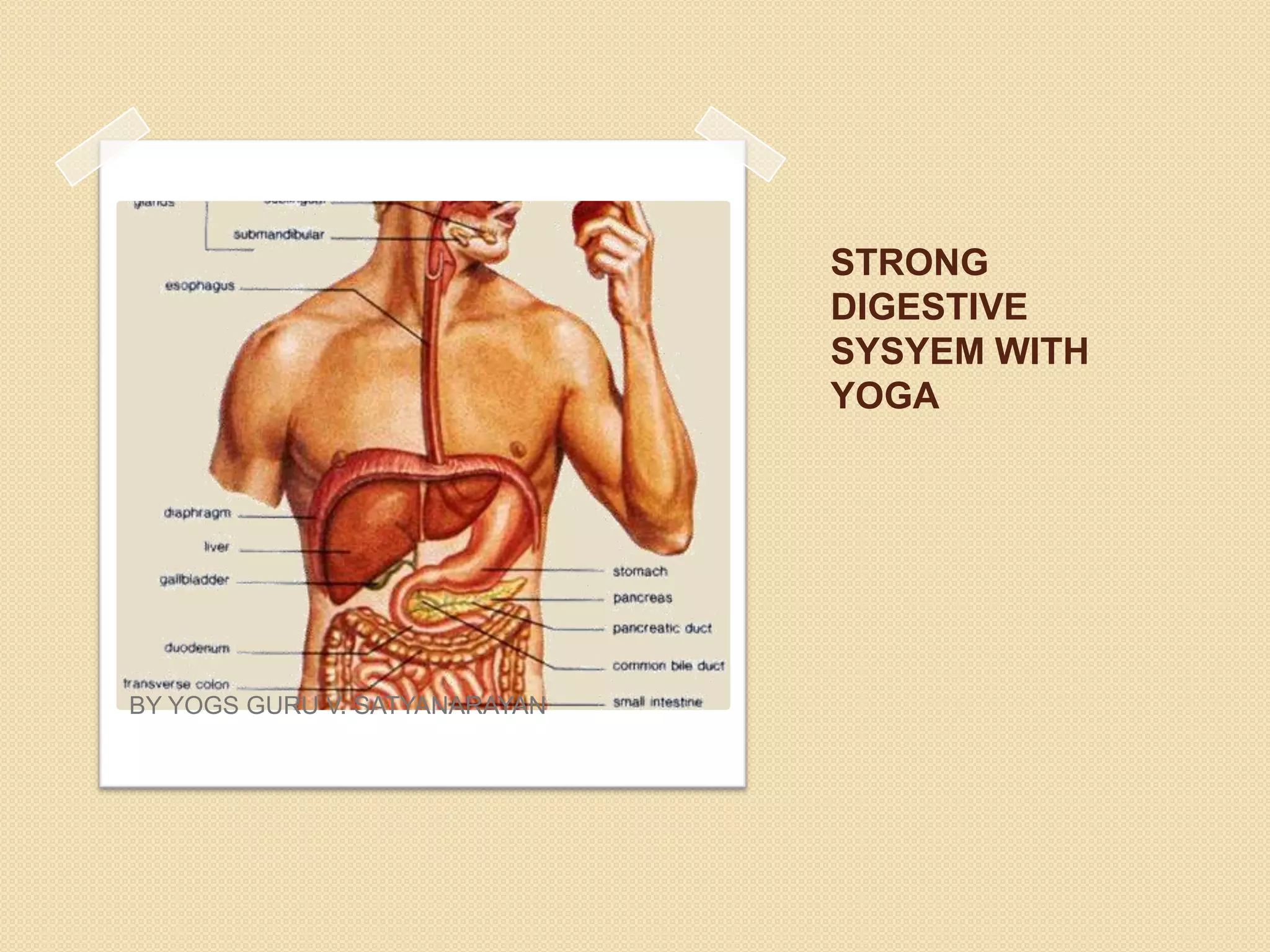 Yogic tips for strong digestive system | PPT