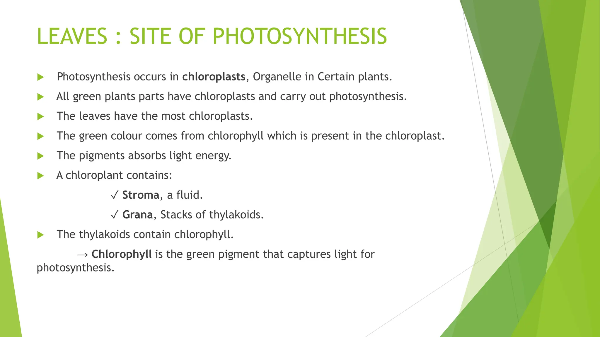 PHOTOSYNTHESIS.pptx