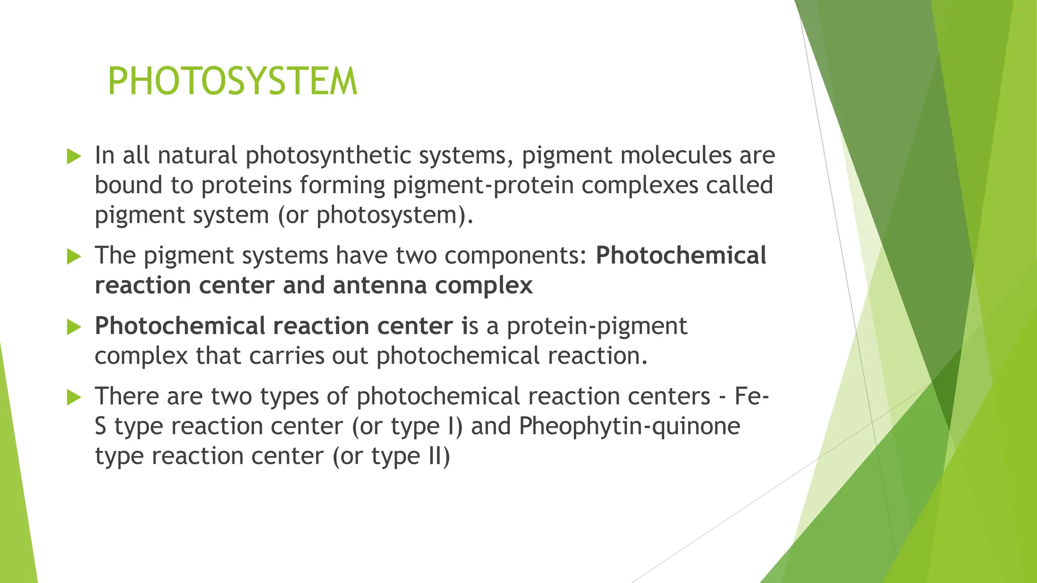PHOTOSYNTHESIS.pptx