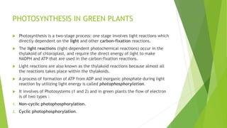 PHOTOSYNTHESIS.pptx