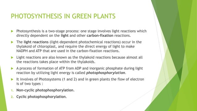 PHOTOSYNTHESIS.pptx