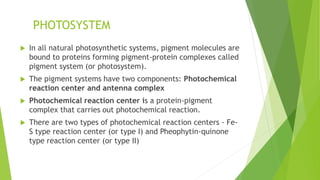 PHOTOSYNTHESIS.pptx