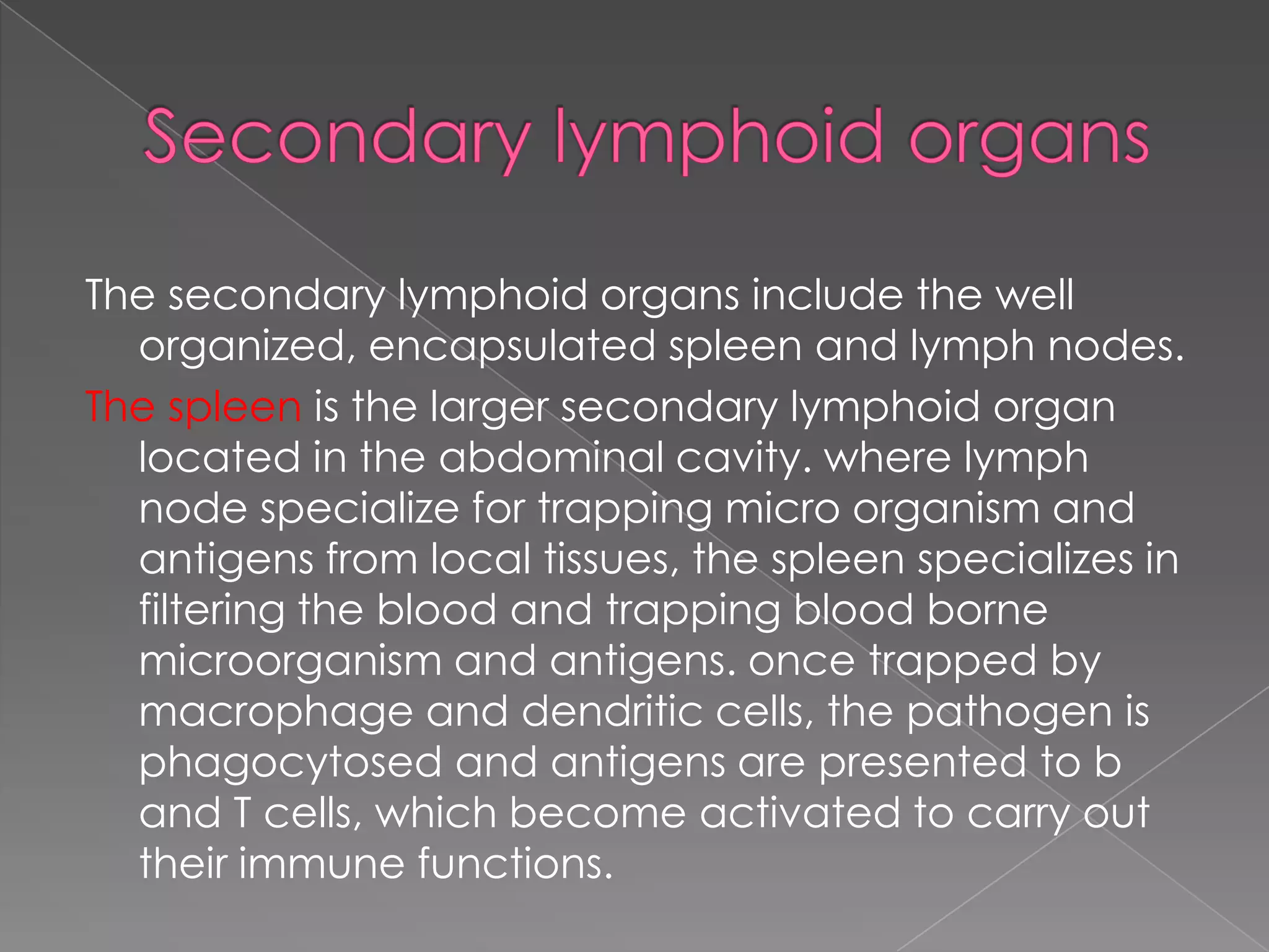 cells of immune system | PPTX