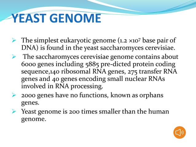 Genetic analysis of yeast | PPT | Biological Sciences | Science